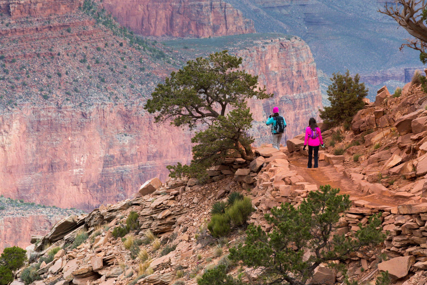 Arizona National Scenic Trail – 10th Anniversary | Partnership for the ...