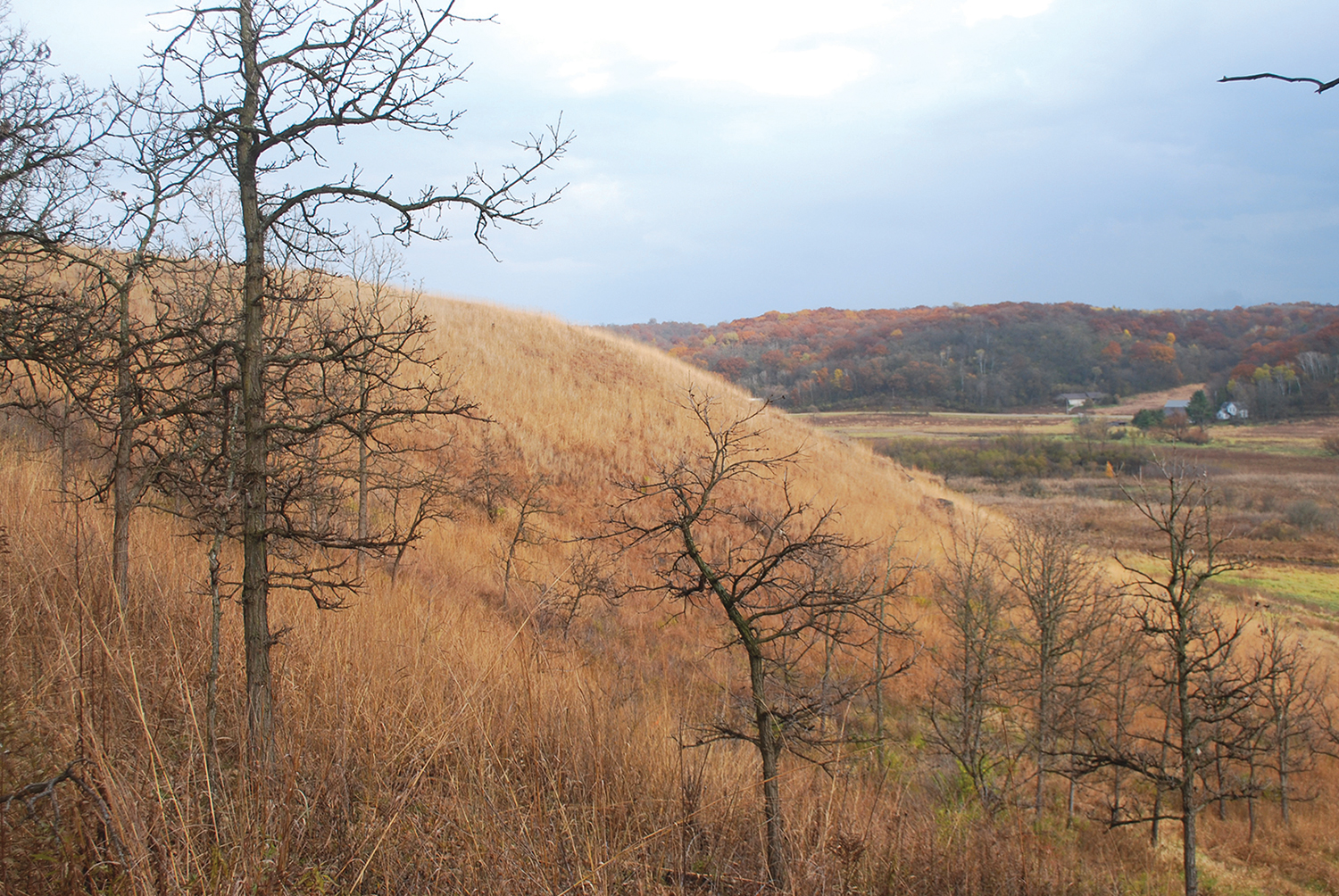Preserving critical resources and closing gaps along national scenic ...