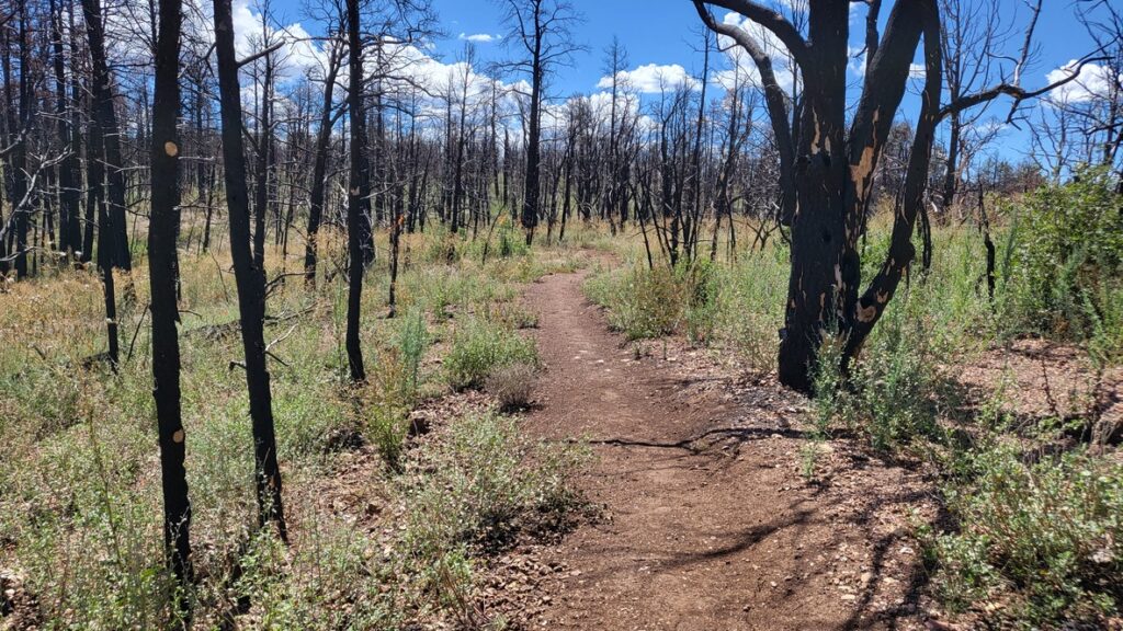 Conserving Trail Lands and Climate Resilience | Partnership for the ...